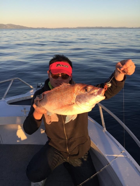 New Shimano Colt Sniper Jigs - The Fishing Website : Discussion Forums