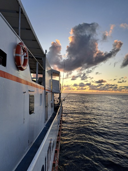 Big Cat Reality Fishing Charters - Kenn Reef - The Fishing Website ...