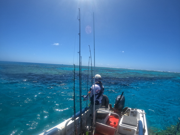 Big Cat Reality Fishing Charters - Saumarez Reef - The Fishing Website ...
