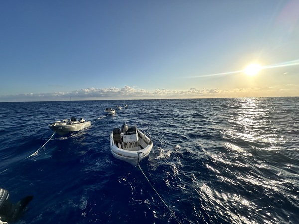Big Cat Reality Fishing Charters - Saumarez Reef - The Fishing Website ...