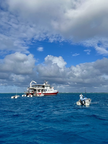 Big Cat Reality Fishing Charters - Saumarez Reef - The Fishing Website ...