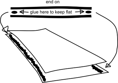 Where to get duckbill scuppers? - The Fishing Website : Discussion Forums