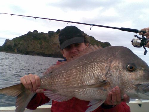 Koheru & the cook fishing 2014-15 - The Fishing Website : Discussion Forums