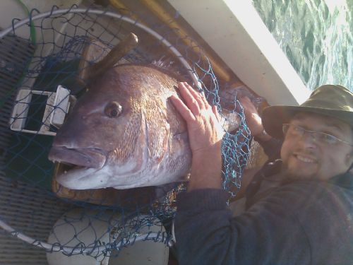 Koheru & the cook fishing 2014-15 - The Fishing Website : Discussion Forums