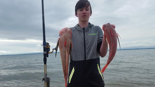 Grunter Hunter 2020 - The Fishing Website : Discussion Forums - Page 3