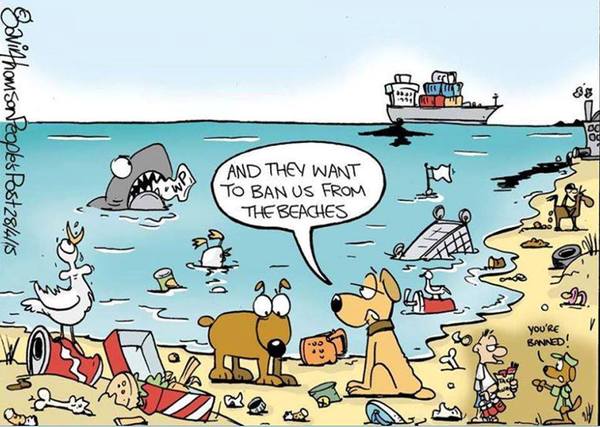 Fishing Humour - The Fishing Website : Discussion Forums - Page 436
