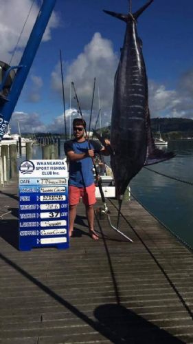 World Record Blue Marlin Second Largest Blue Marlin In Virginia