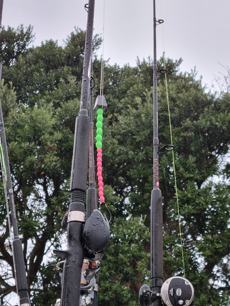 Grunter Hunter 2022 - The Fishing Website : Discussion Forums - Page 2