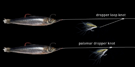 Cut bait & lure strayline rig - The Fishing Website : Discussion Forums ...