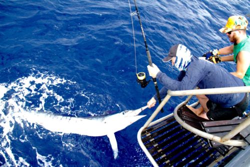 Destiny at the Wanganella Banks 2016 - The Fishing Website : Discussion ...