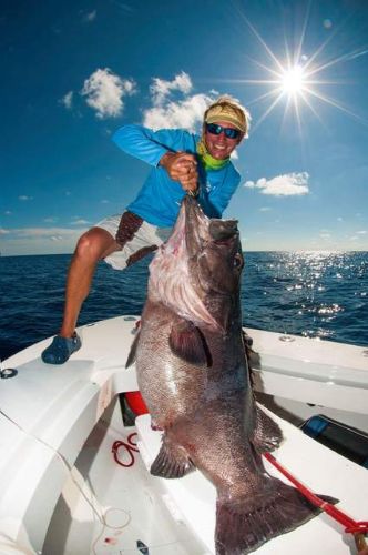 NZ or Oz Bass Grouper? - The Fishing Website : Discussion Forums