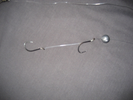 snapper rigs - The Fishing Website : Discussion Forums