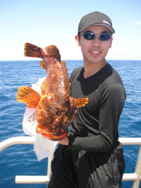 Grandaddy Hapuka - The Fishing Website : Discussion Forums - Page 1