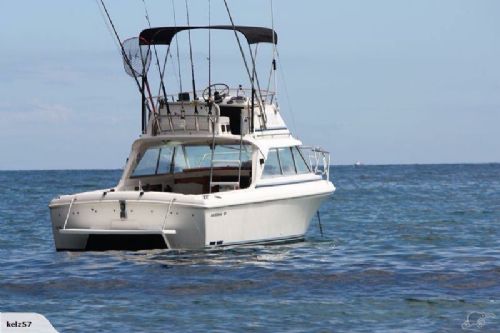 project Bertram 23 ready for the holidays!! - The Fishing Website ...