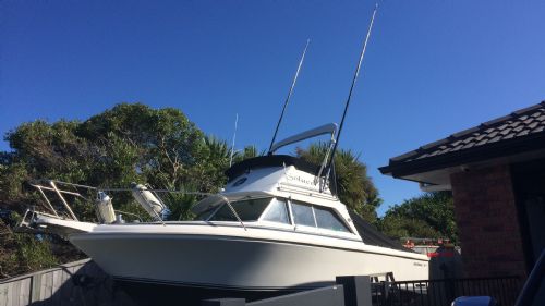 project Bertram 23 ready for the holidays!! - The Fishing Website ...
