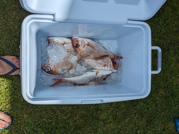 BOP Yakmen - The Fishing Website : Discussion Forums - Page 1024