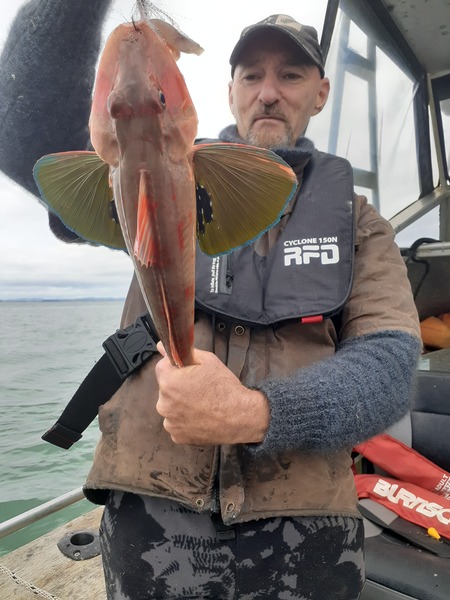 Grunter Hunter 2020 - The Fishing Website : Discussion Forums - Page 3