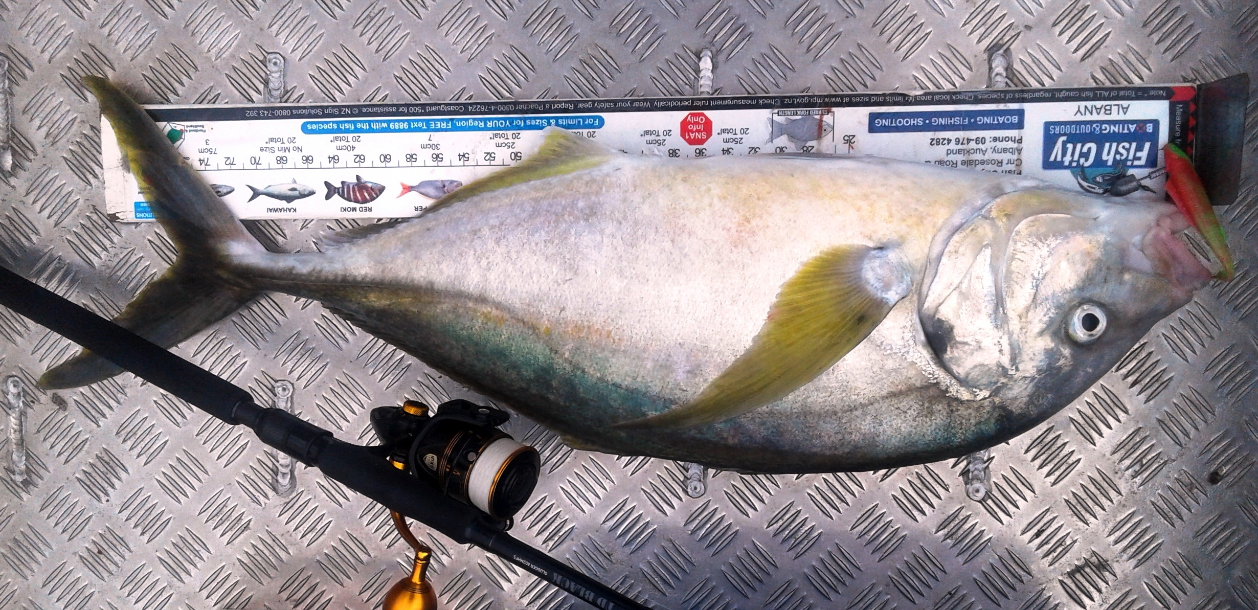 Big reds, giant trev - Far North softbait heaven - The Fishing Website ...