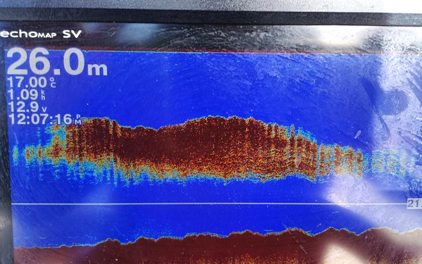 snapper on sonar - The Fishing Website : Discussion Forums - Page 2