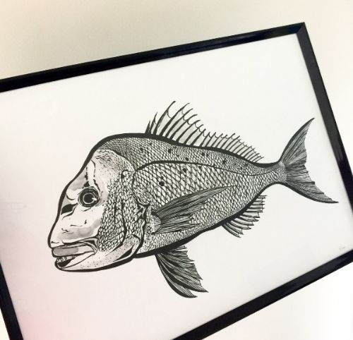 Snapper print - The Fishing Website : Discussion Forums