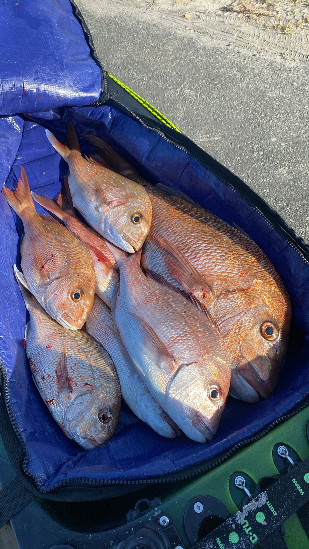 BOP Yakmen - The Fishing Website : Discussion Forums - Page 1025