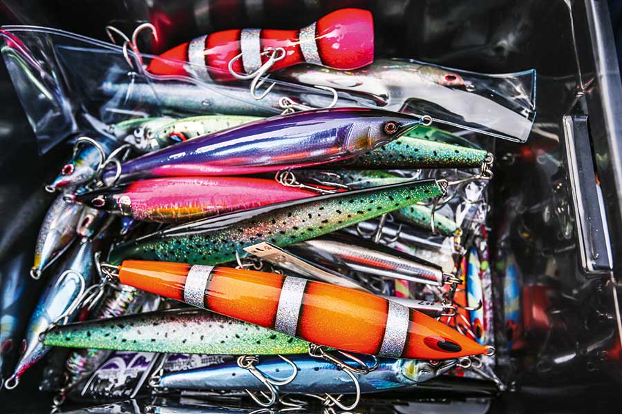 Best Rod and Reels for Topwater Fishing - The Fishing Website