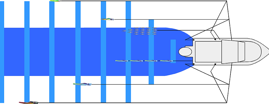 Gamefishing - Lure Placement and Hook Selection - The Fishing Website