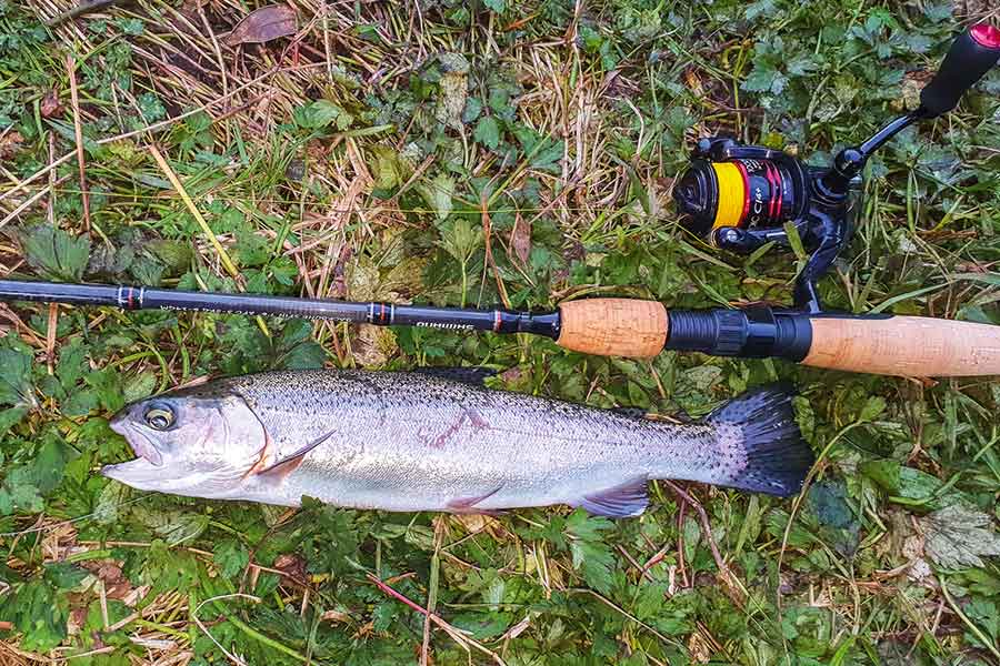 Fishing in Lake Pupuke - The Fishing Website