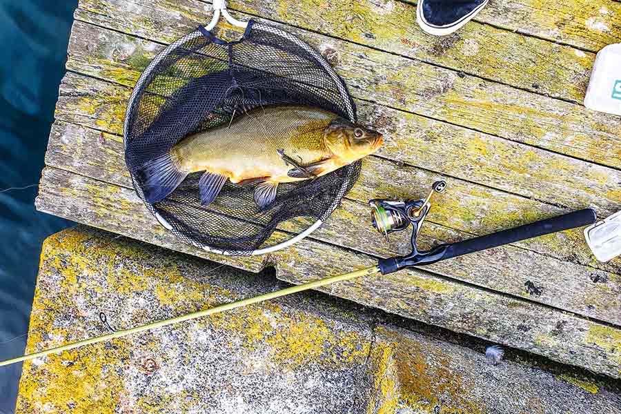 Fishing in Lake Pupuke - The Fishing Website