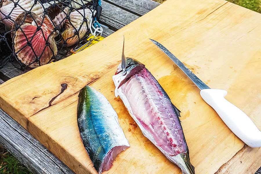 More Options for Fishing in Spring - The Fishing Website