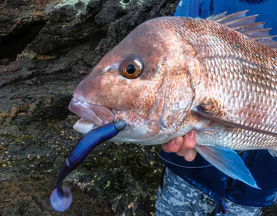 Saltwater Fly Techniques - Fly Selection - The Fishing Website