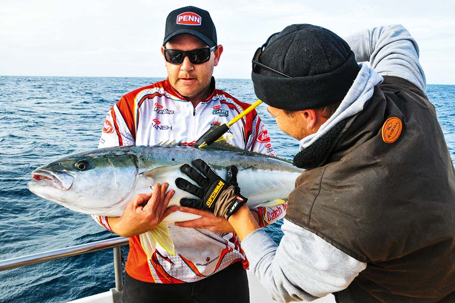 Kingfish - How Smart Are They - The Fishing Website