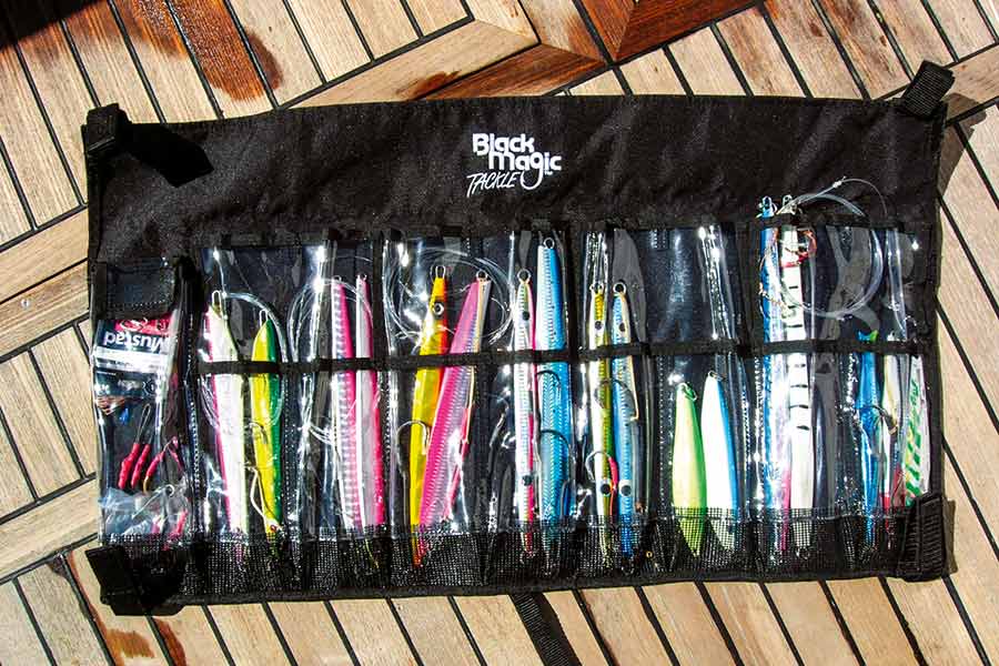 Kingfish - How Smart Are They - The Fishing Website