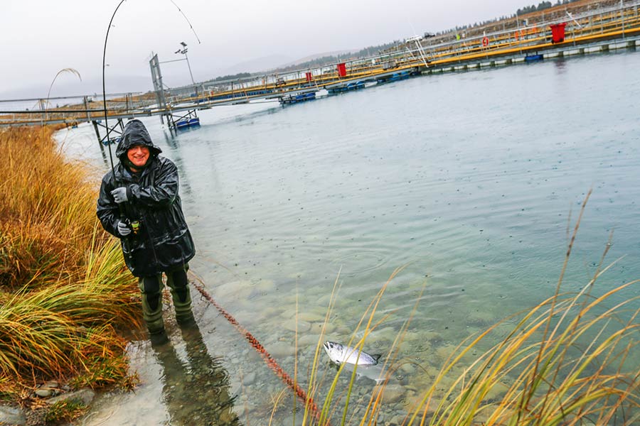 Trout Fishing in The Mackenzie Country Canals - The Fishing Website