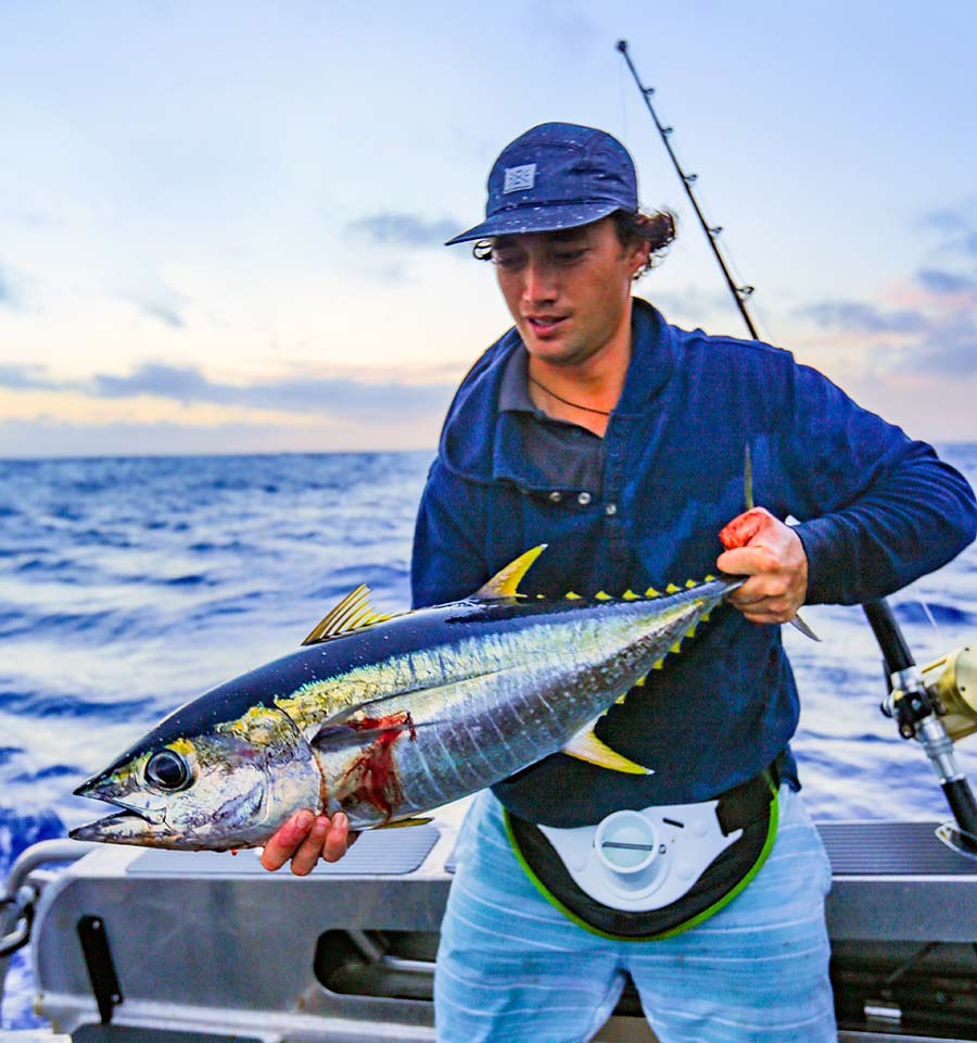 Yellowfin Tuna Techniques - The Fishing Website