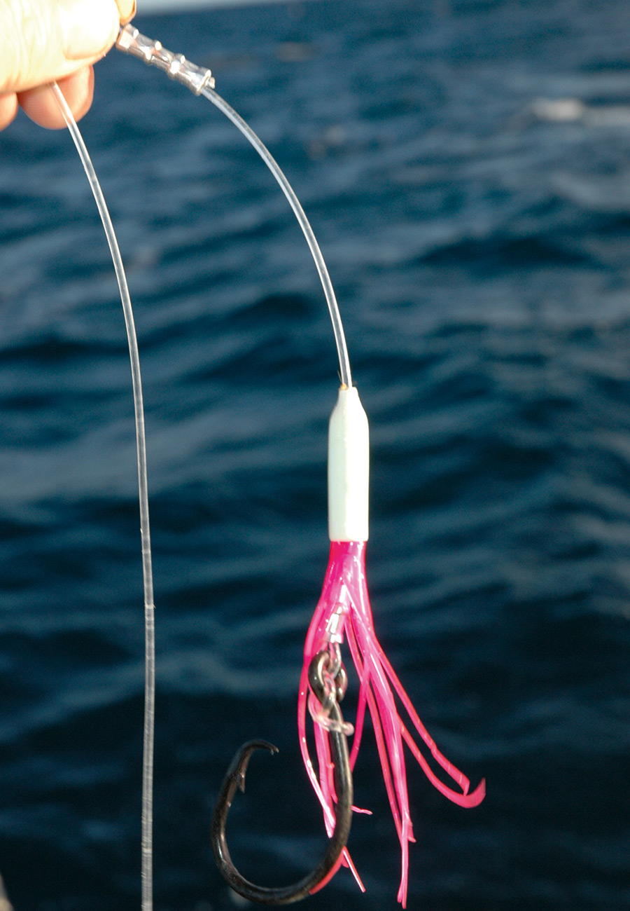 Selecting the best leader weight - The Fishing Website