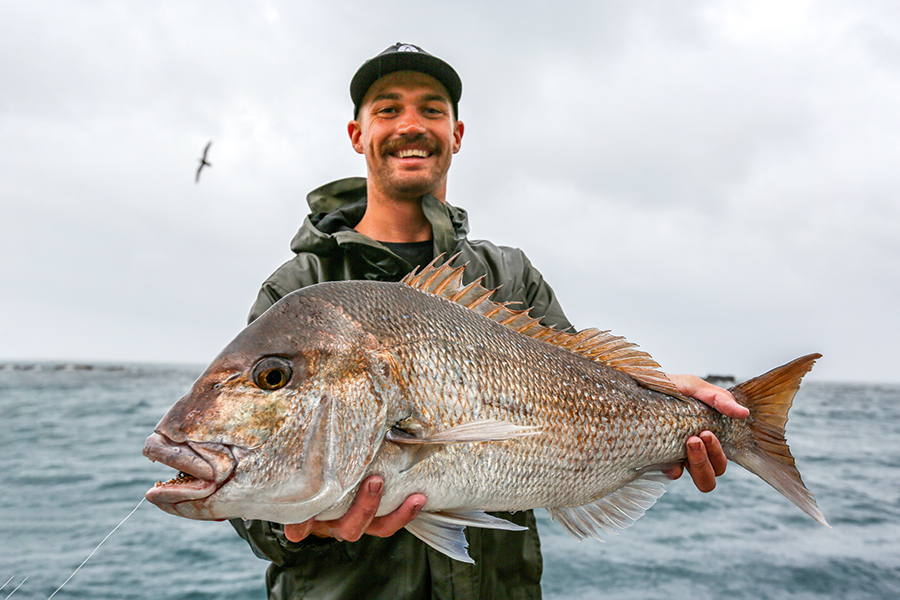 Daiwa Free Swimmer Straylining Reel Review - The Fishing Website