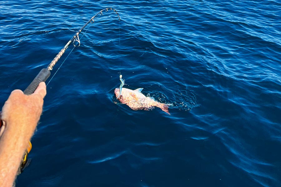 Favourite Fishing Things - Grant Blair - The Fishing Website