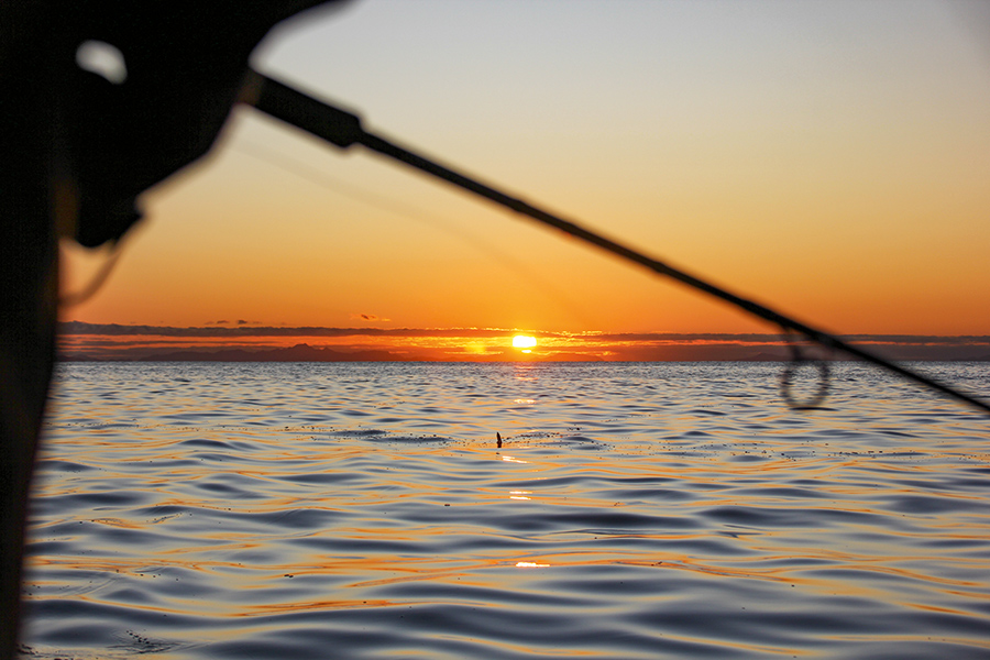 Catching Kingfish on Poppers and Stickbaits - The Fishing Website
