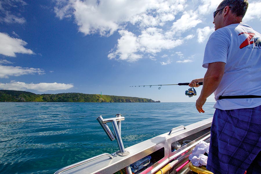 Light Tackle Topwater Techniques - The Fishing Website