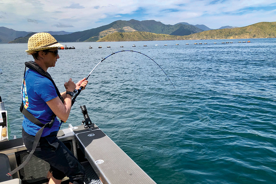 Pelorus Sound - The Fishing Website