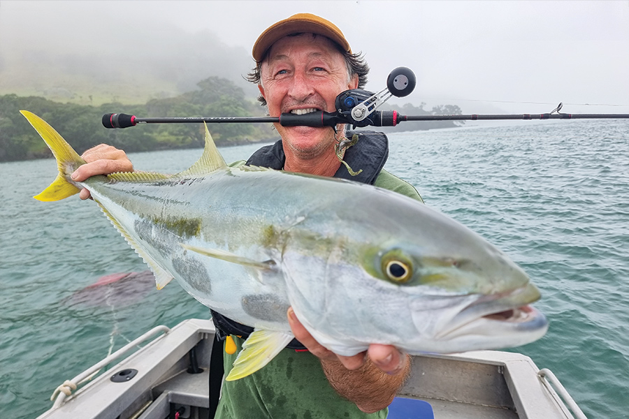 Shallow Water Lures for Snapper - The Fishing Website