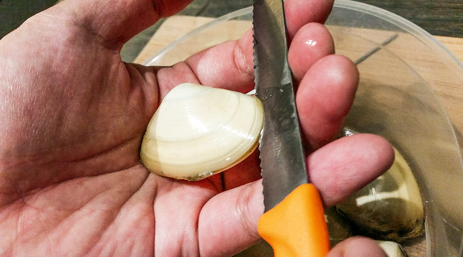 Using Shellfish for Surfcasting - The Fishing Website