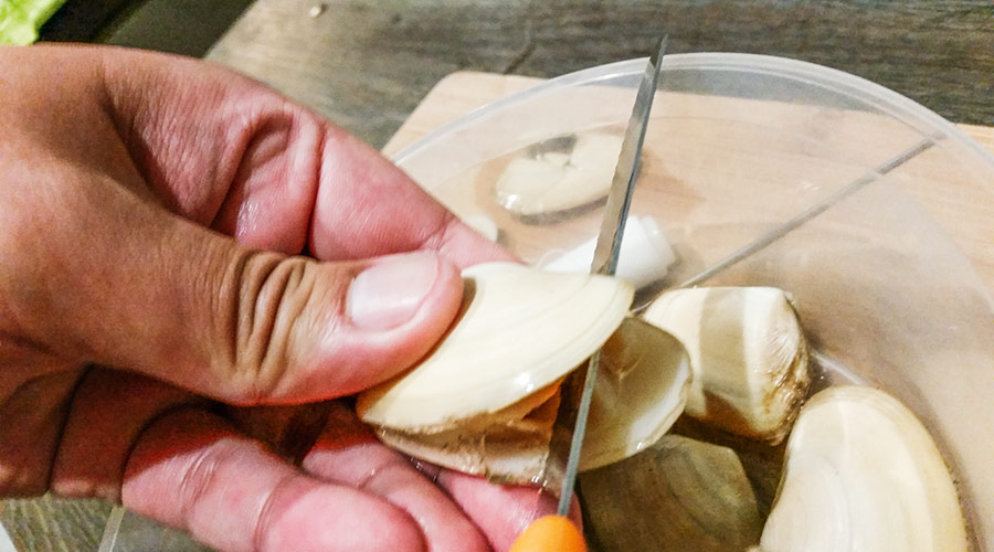 Using Shellfish for Surfcasting - The Fishing Website