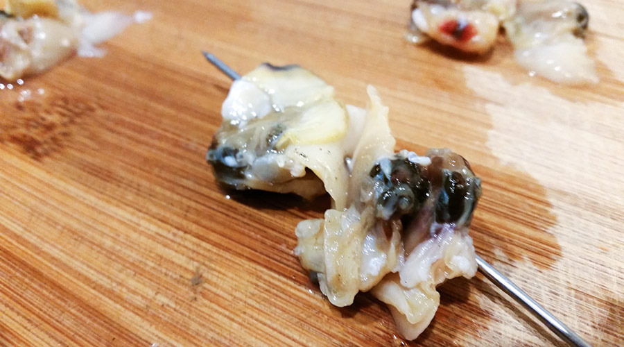 Using Shellfish for Surfcasting - The Fishing Website