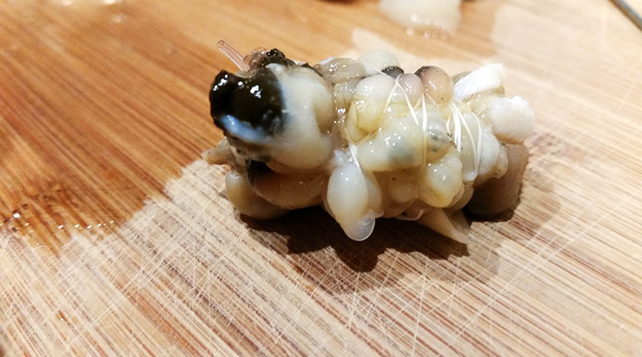 Using Shellfish for Surfcasting - The Fishing Website