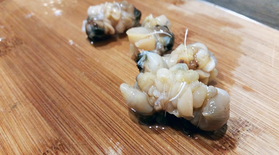 Using Shellfish for Surfcasting - The Fishing Website