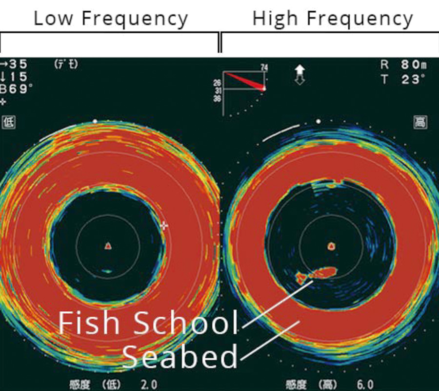 Sounders and Fish Finder Techniques - The Fishing Website