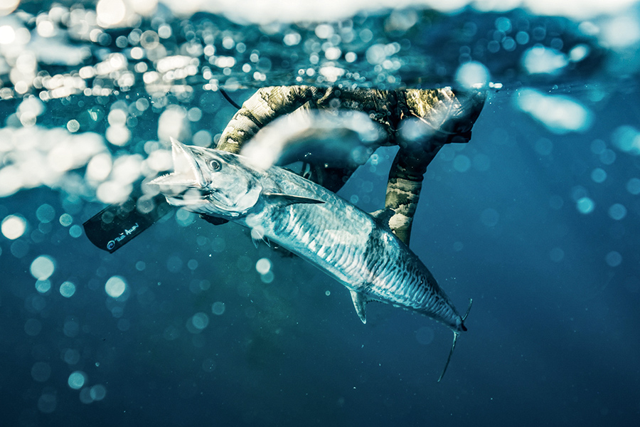 Fishing South Africa's East Coast - The Fishing Website