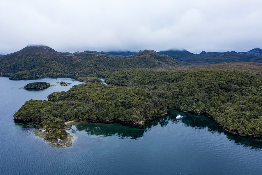 Fishing and Diving in Stewart Island - The Fishing Website